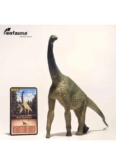 Atlasaurus-eofauna 1:40 Ölçekli Atlasaurus Şekil Sauropoda Dinozor ...