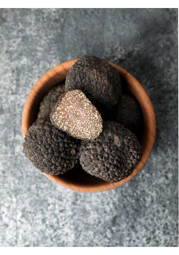 Siyah Trüf Mantarı Tuber Magnatum Tohumu 500 Gr Fiyatları ve Özellikleri