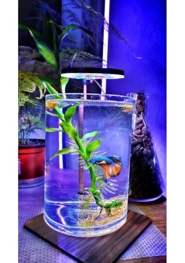 Orion Led 5 V 7w Fanus Aydınlatma & Teraryum Aydınlatma & Nano Akvaryum ...