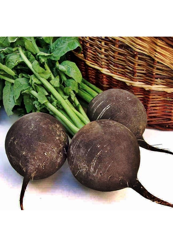 Kara Turp Tohumu Fiyatları ve Özellikleri