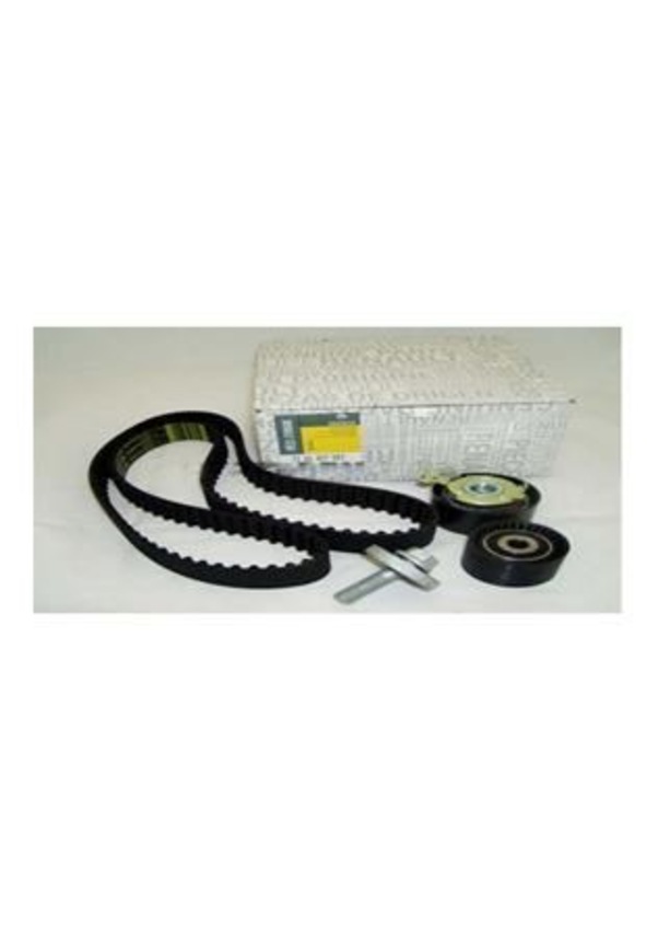 RENAULT 130C13191R RENAULT TRİGER EKSANTRİK GERGİ SETİ MEGANE II ...