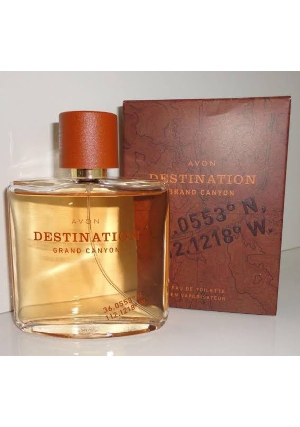 Avon Destination Grand Canyon Erkek Parfüm EDT 75 ML Fiyatları ve ...
