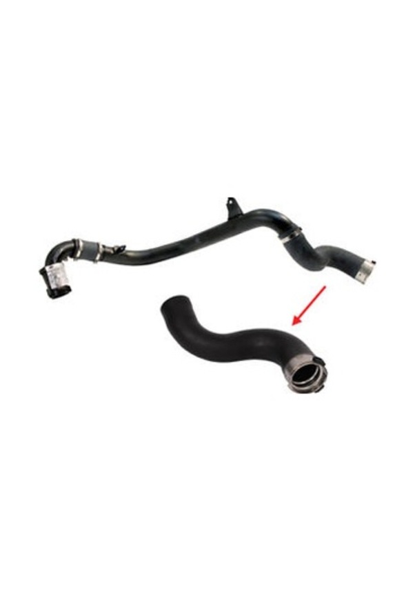 Renault Megane Iıı Scenıc Iıı 1.9 Dcı Turbo Hortumu 8200962920 ...