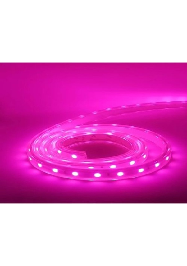 Mor 3 Çipli İç Dış Mekan Silikonlu Şerit Led 220v 60 Ledli Fiyatları ve ...