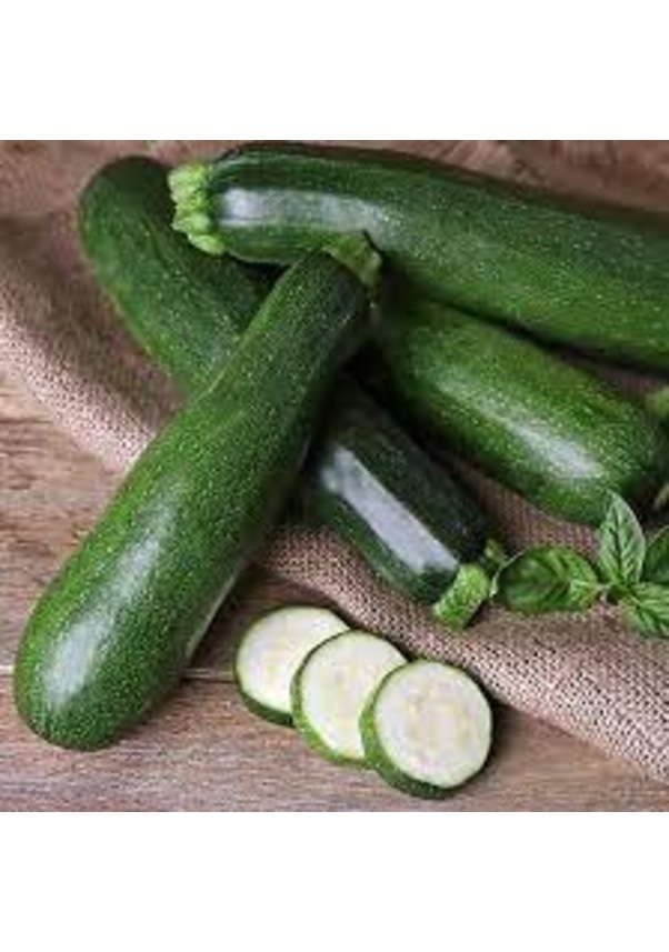 50 Adet Tohum Organik Ata Tohum Kara Kabak Tohumu Taze Hasat Fiyatları ve Özellikleri