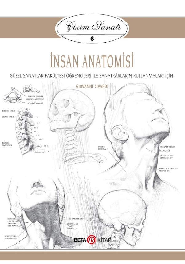 Çizim Sanatı 6 Insan Anatomisi Fiyatları ve Özellikleri