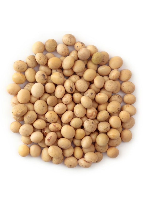 Soya Fasulyesi 1 KG Fiyatları ve Özellikleri