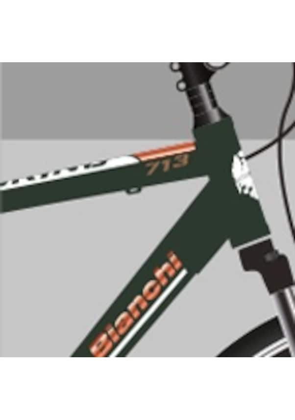 BIANCHI TOURING 713-51 CM ŞEHİR BİSİKLETİ Koyu Bakır - Yeşil Fiyatları ...