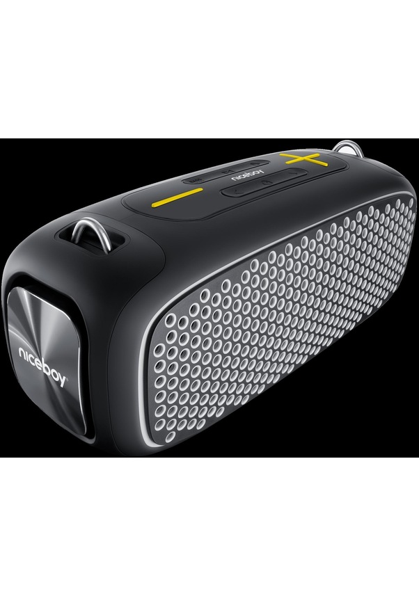 Niceboy RAZE Zeus 65 W Bluetooth Hoparlör Siyah Fiyatları ve Özellikleri