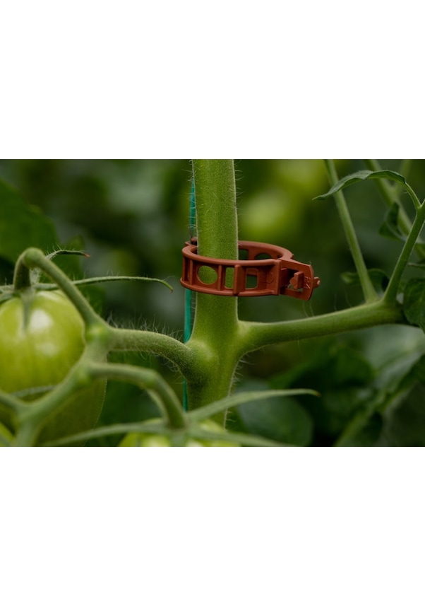 Bitki Klipsi (Domates Klipsi,Gövde Klipsi, Sarmaşık Klipsi) 10 Adet ...