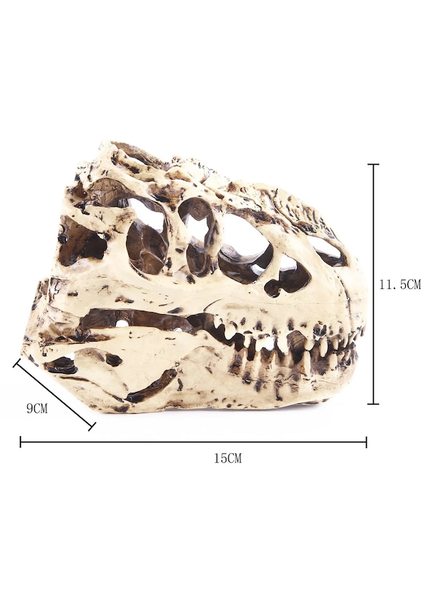 Tyrannosaurus Rex-tyrannosaurus Rex Dinozor Reçine El Sanatları Kafa ...