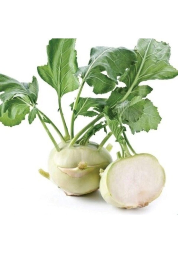 50 Adet Tohum Taze Yerli Alabaş Turp Tohumu Organik Alabaş Turp ...