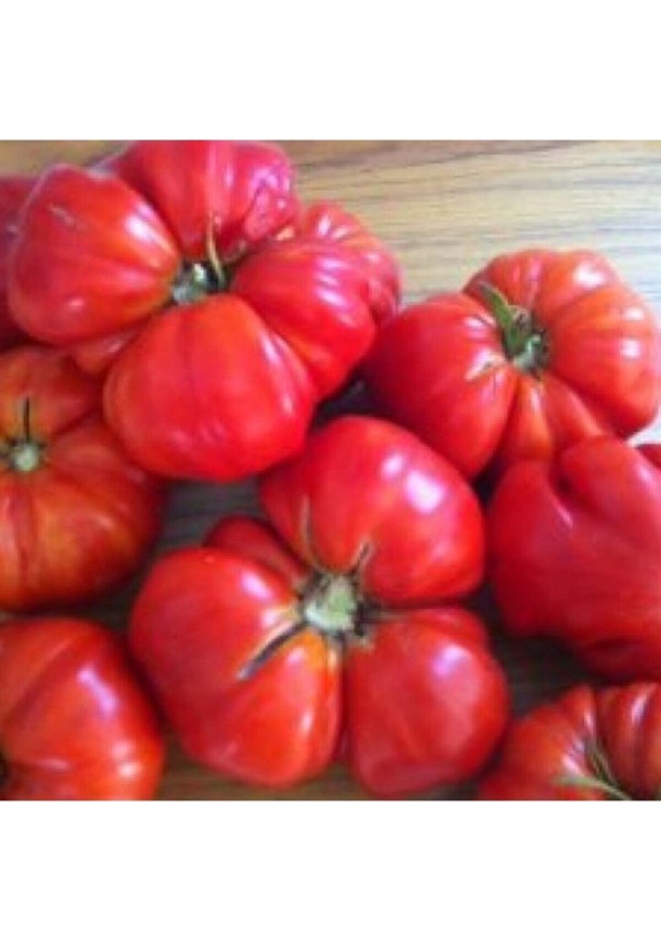 20 Adet Tohum Nadir Iri Pembe Köy Domatesi Domates Tohumu Sürpriz ...