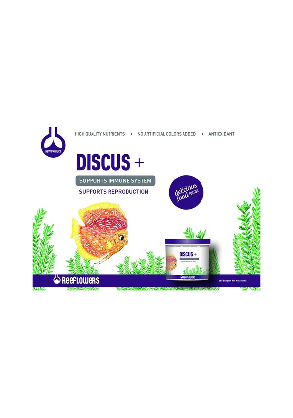 Reeflowers Dıscus+ 100 G Kovadan Bölme Fiyatları ve Özellikleri