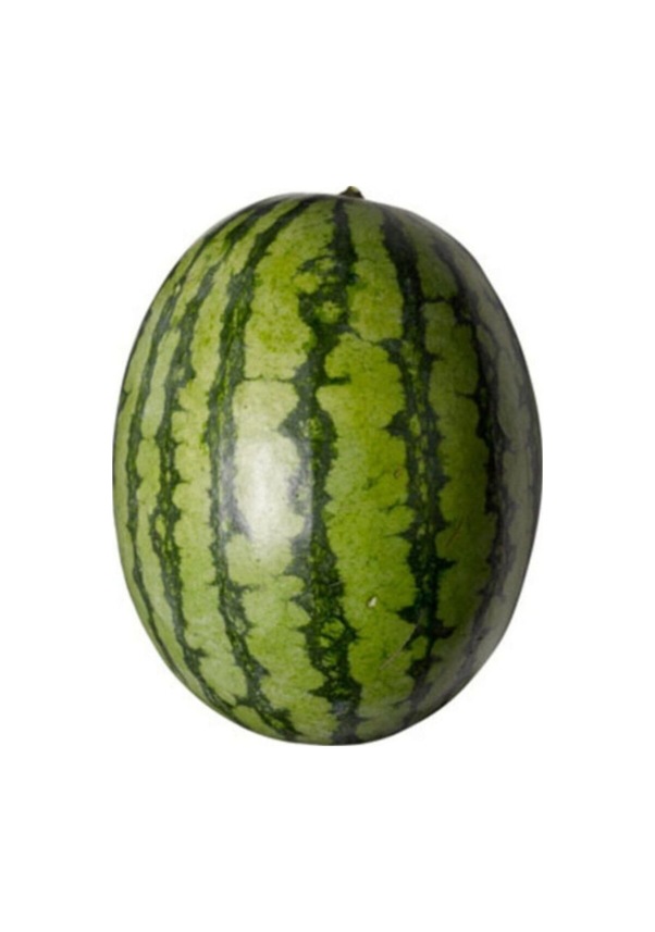 Eko Paket 50 Adet Tohum Meşhur Dev Adana Karpuz Tohumu Fiyatları ve ...