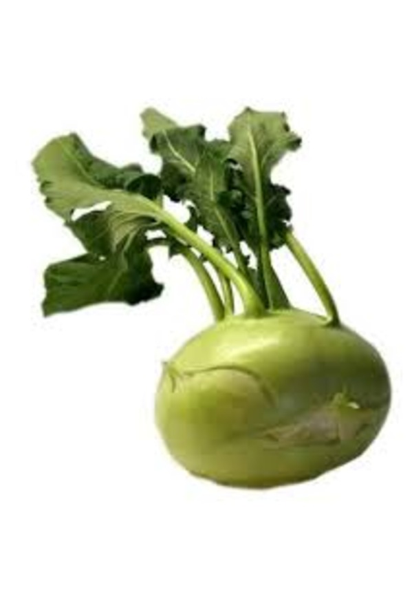 100 Adet Tohum Organik Hobi Bahçe Alabaş Turp Tohumu Saksı Toprak ...