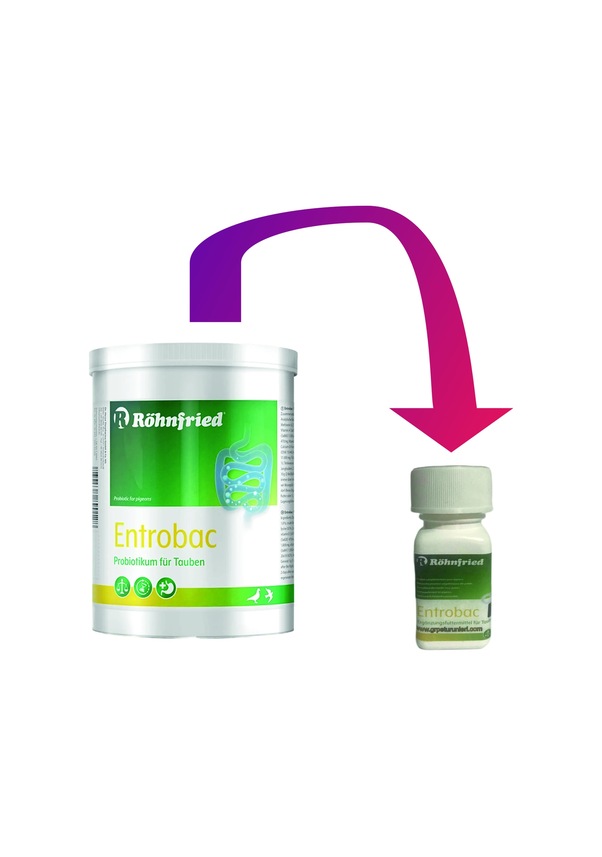 Röhnfried Entrobac Bağırsak Güçlendirici Probiyotik Katkısı 25 Gr ...