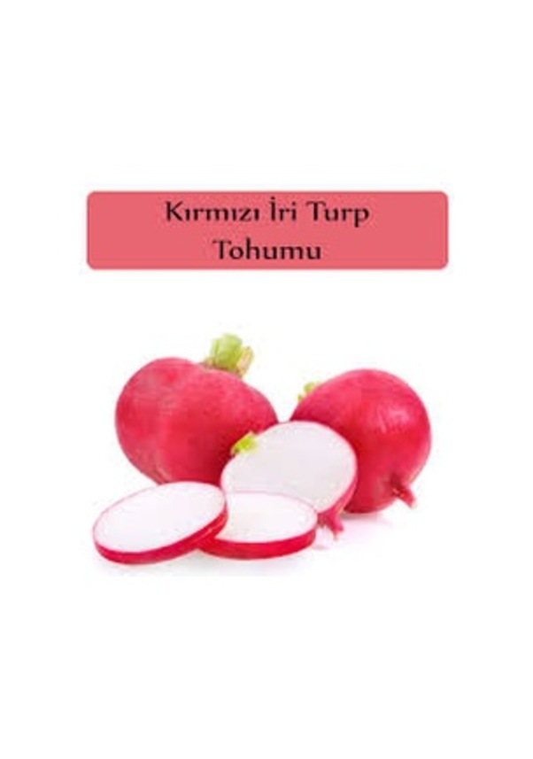 200 Adet Tohum İri Kırmızı Gevrek Turp Tohum Yeni Hasat Fiyatları ve Özellikleri
