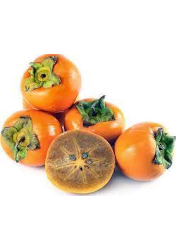 5 Adet Tohum Organik Hobi Bahçe Trabzon İçi Siyah Hurma Tohumu ...