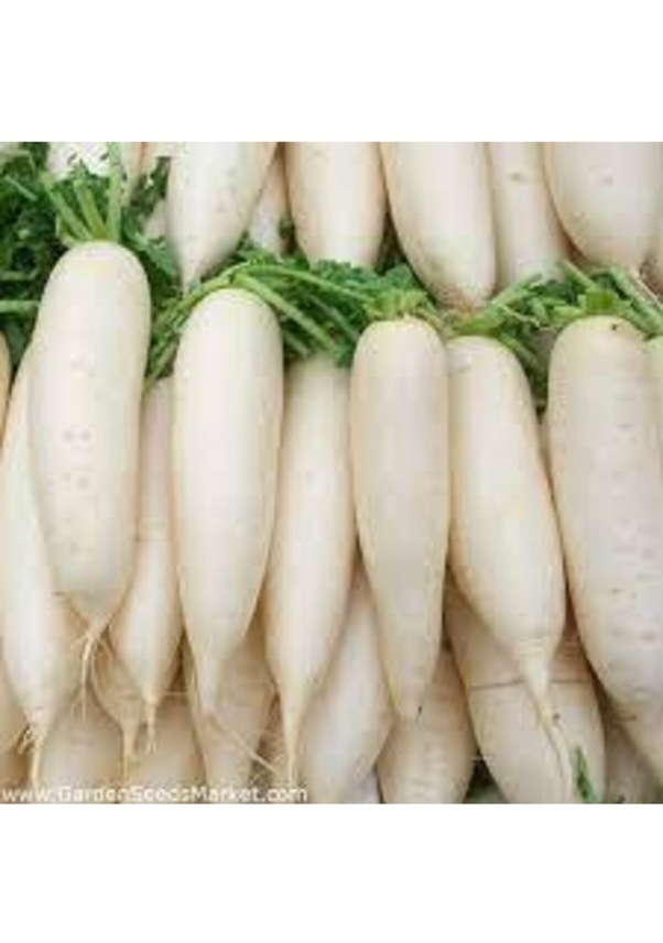 50 Adet Tohum Nadir Beyaz Uzun Turp Tohumu Beyaz Çin Turpu Tohumu ...