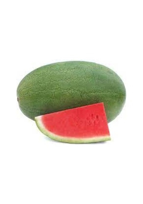 50 Adet Tohum Nadir Çarliston GRay Dev Karpuz Tohumu Çarliston Ka ...