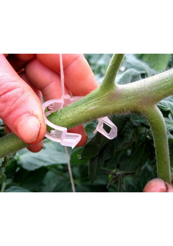 Domates Klipsi Bitki Klipsi Gövde Klipsi Sarmaşık Bitki Klipsi 500 Adet ...