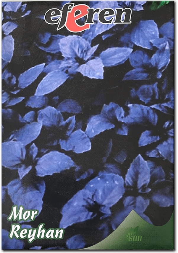 Bykurt Sunagri Mor Reyhan Tohumu - Aromatik Mor Renkli Bahçeler İçin ...