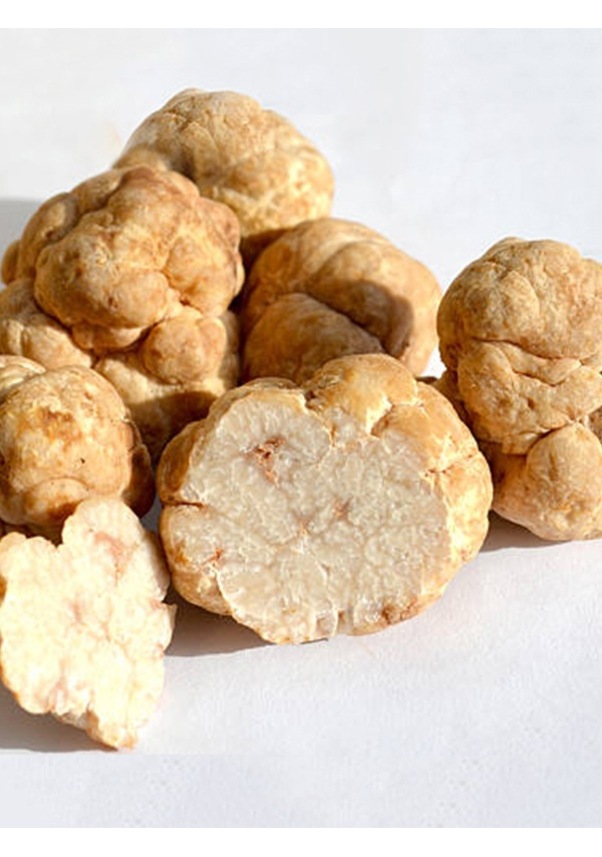 Beyaz Trüf Mantarı Tuber Magnatum Mantar Tohum 500 Gr Fiyatları ve ...