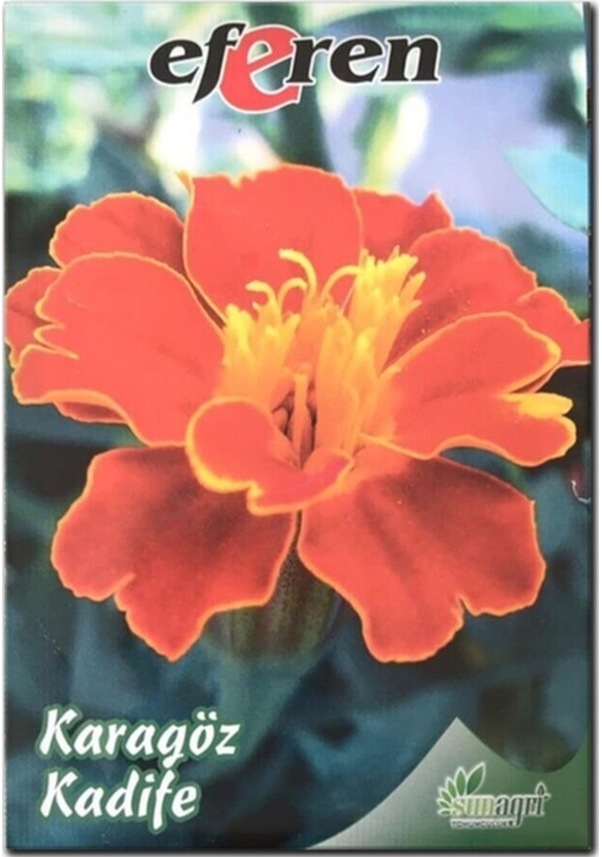Eferen Karagöz Kadife Çiçeği Çiçek Tohumu Fiyatları ve Özellikleri