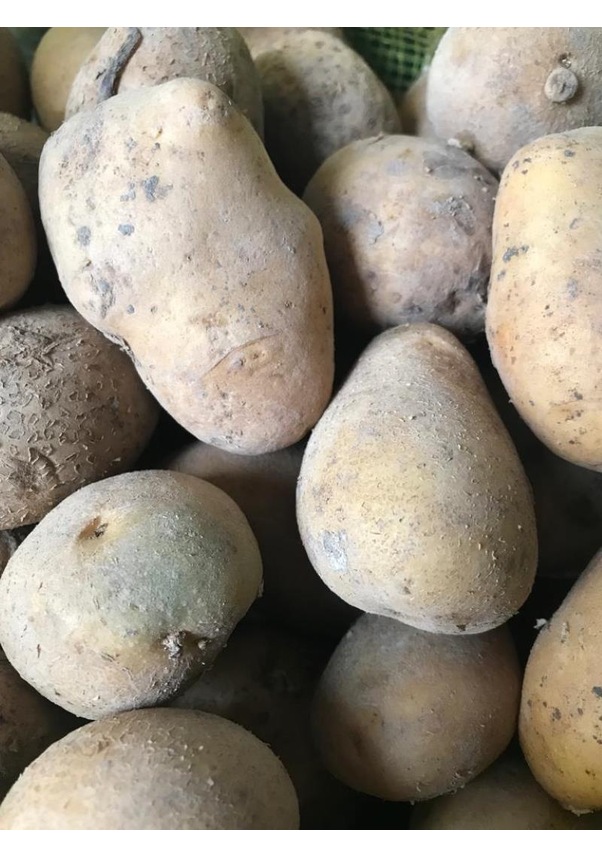 Marabel Yerli Tohumluk Patates 10 Kg Fiyatları ve Özellikleri