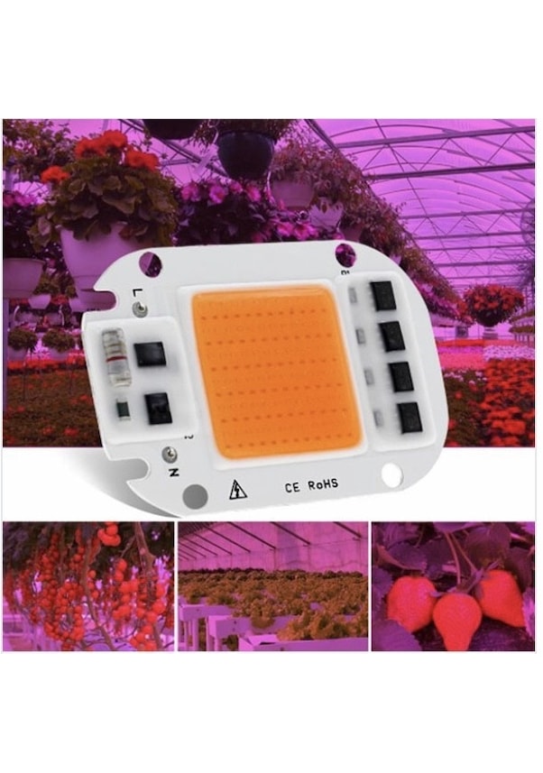 220V 50W Grow Led Full Spectrum Cob Led (Bitki Yetiştirme Ledi) Fiyatları ve Özellikleri
