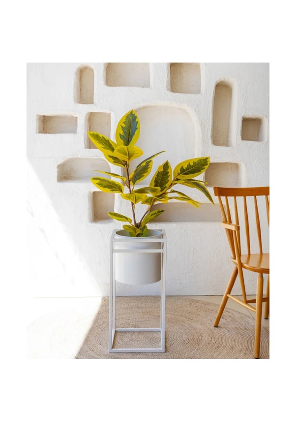 Reyo Ficus Altissima Gerçek Dokulu Yapay Ağaçı Sarı Yeşil 90 Cm ...