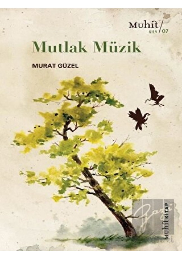 Mutlak Müzik - Murat Güzel - Muhit Kitap Fiyatları ve Özellikleri