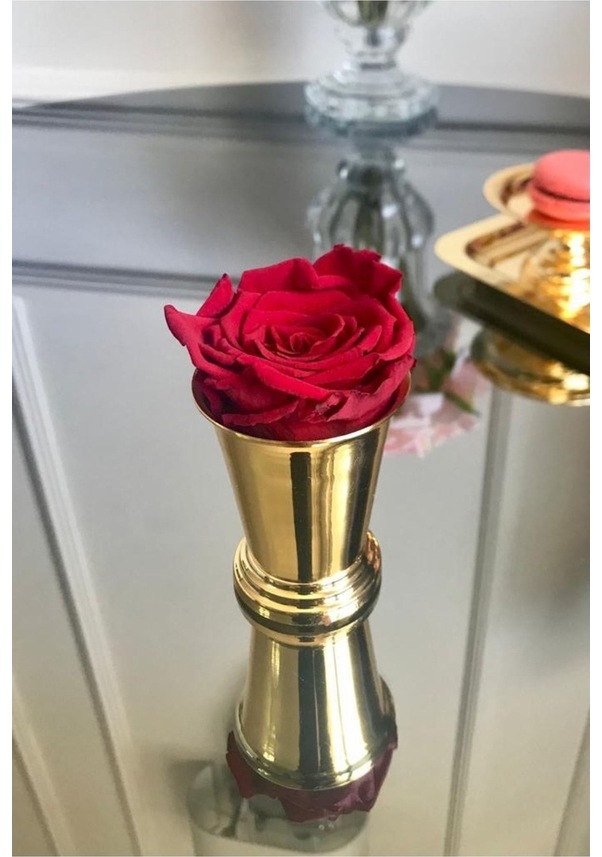 Kırmızı Solmayan Ekvator Gülü Fiyatları ve Özellikleri