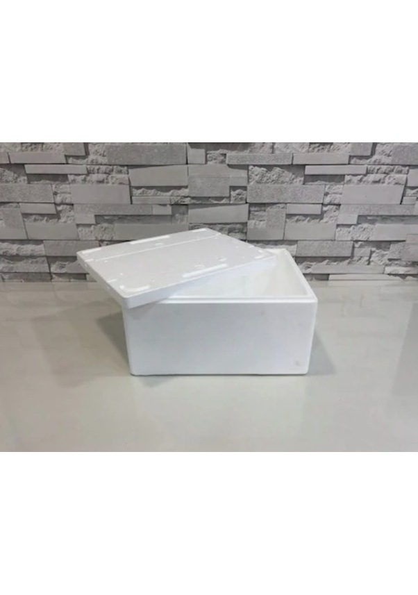 Strafor Kutu Beyaz Köpük 15 Kg Et Balık Gıda Termos Taşıma Kutusu ...