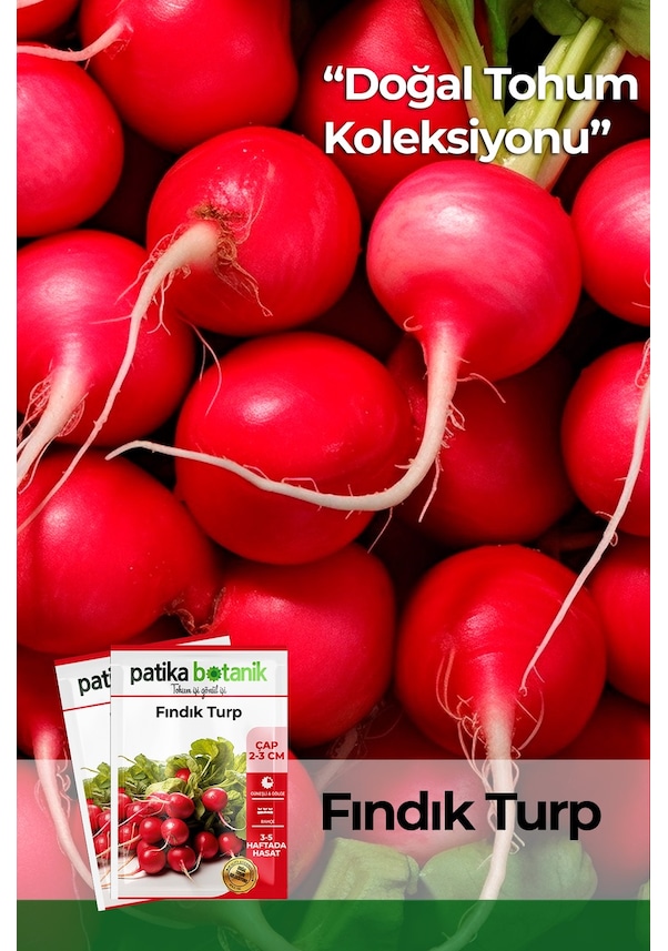 400 Adet Yerli Ata Fındık Turp Tohumu Fiyatları ve Özellikleri