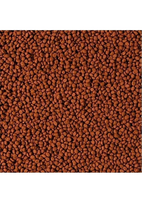 Tropical Cichlid Carnivore Small Pellet 1000 Gram Küçük Granül Ba ...