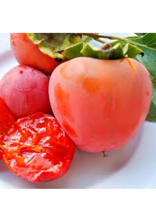 3 Adet Tohum Trabzon Hurması Tohumu Hatay Siyah Hurma Hed Fiyatları ve ...