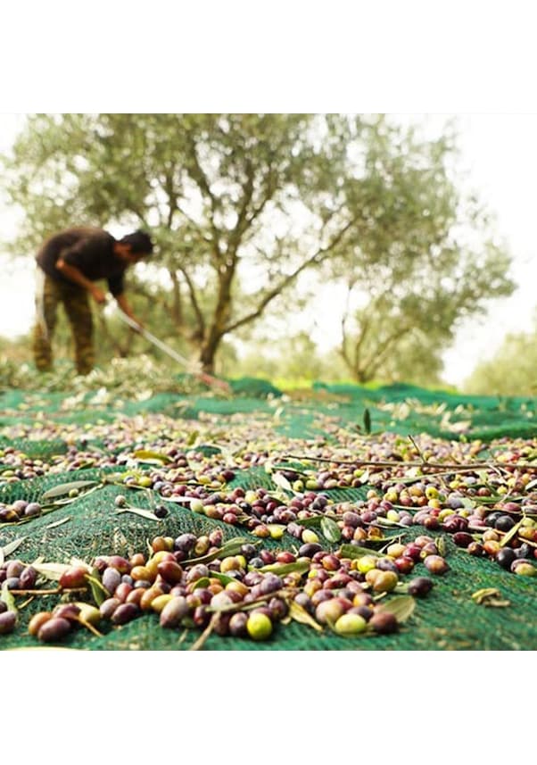 6X8 METRE ZEYTİN SERGİSİ ZEYTİN TOPLAMA FİLESİ FINDIK FISTIK ÖRTÜ ...