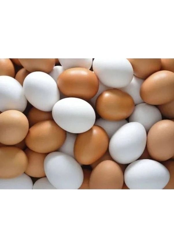 50 Adet Pvc Sahte Tavuk Yumurtası Avu Folluk Yapay Yumurta Sarı Beyaz ...