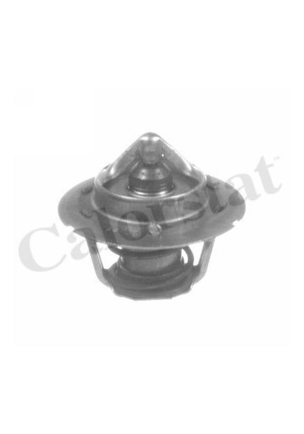 Calorstat Vernet TH6843.91J Termostat BMW Mini R50 R52 11537512733 ...