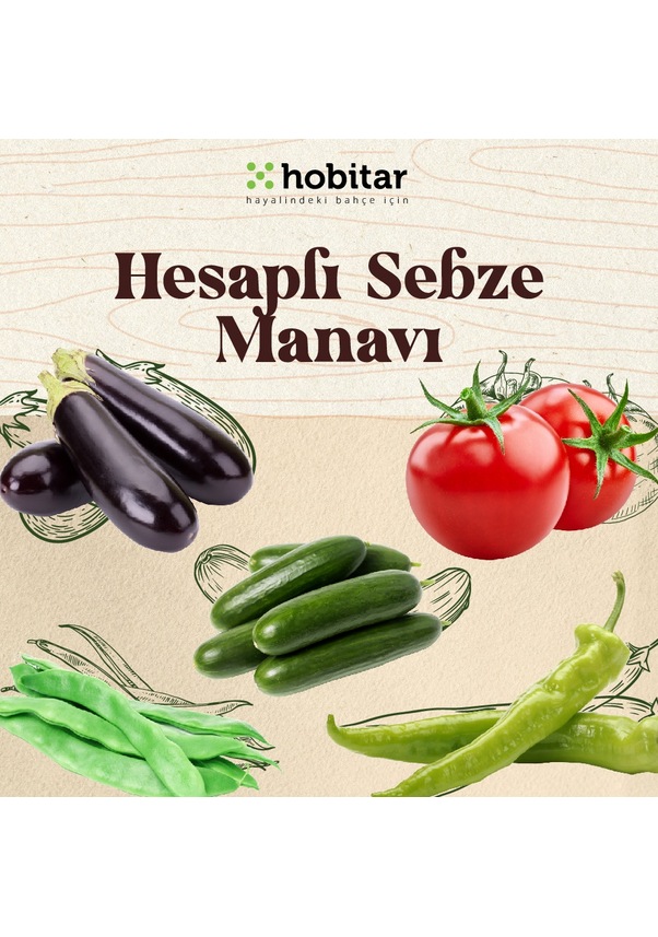 Hobitar Hesaplı Sebze Manavı Tohum Paketi - 5 Çeşit Sebze Tohumu ...