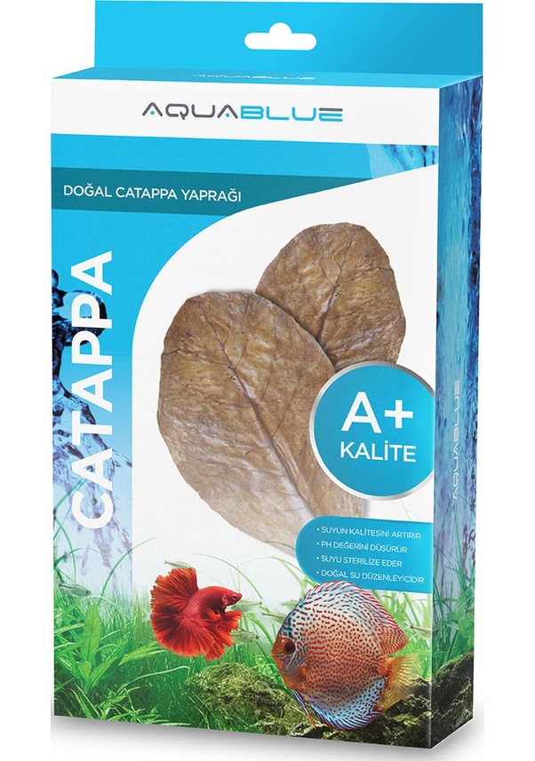 Aquablue Doğal Catappa Yaprağı. Büyük 'L' Boy Hint Bademi 15-23Cm ...