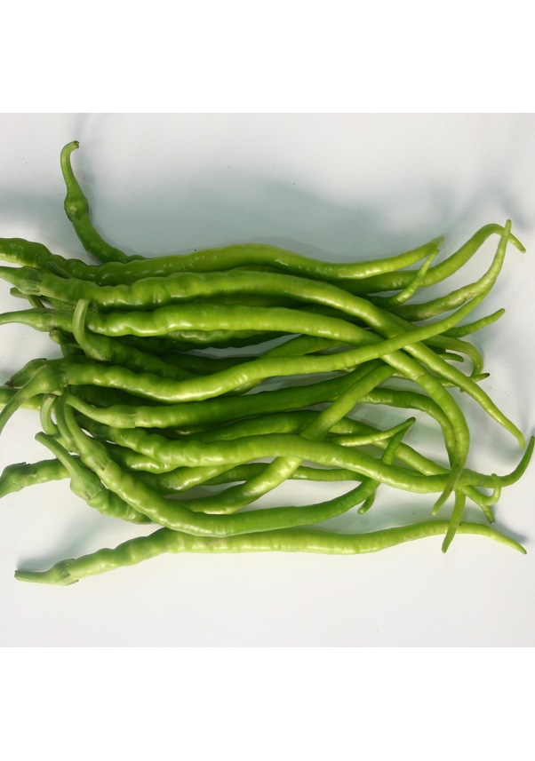 Tatlı Kıl Biber Ekim Seti TohumToprakSaksıBitki Besini Fiyatları ve ...