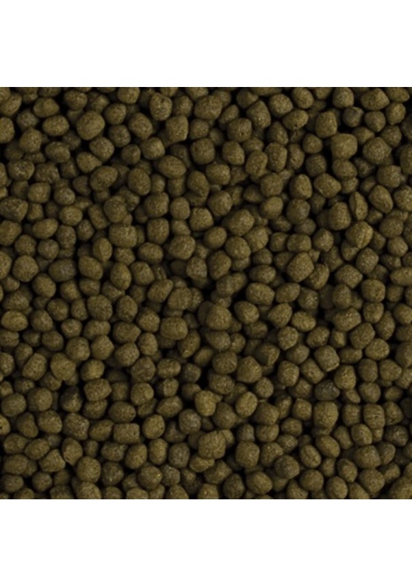 Tropical Flower Horn Adult Pellet 100 Gram Balık Yemi Fiyatları ve ...