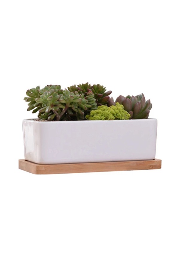 Tenfowee Beyaz Seramik Dikdörtgen Sukulent Bitki Siniği, Bambulu ...