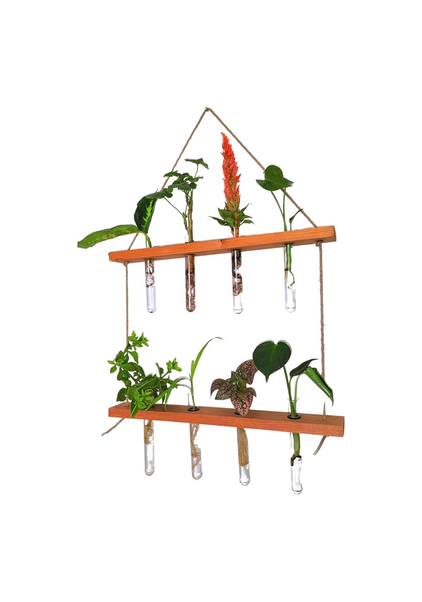 İnside Canlı Bitki Çoğaltma Cam Tüplü Teraryum Ahşap Duvar Dekorasyonu ...
