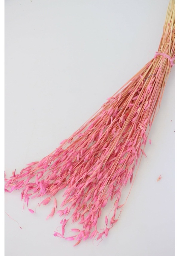 Yapay Çiçek Deposu Kuru Çiçek Yulaf Otu Demeti 50 Cm Pembe Fiyatları ve ...