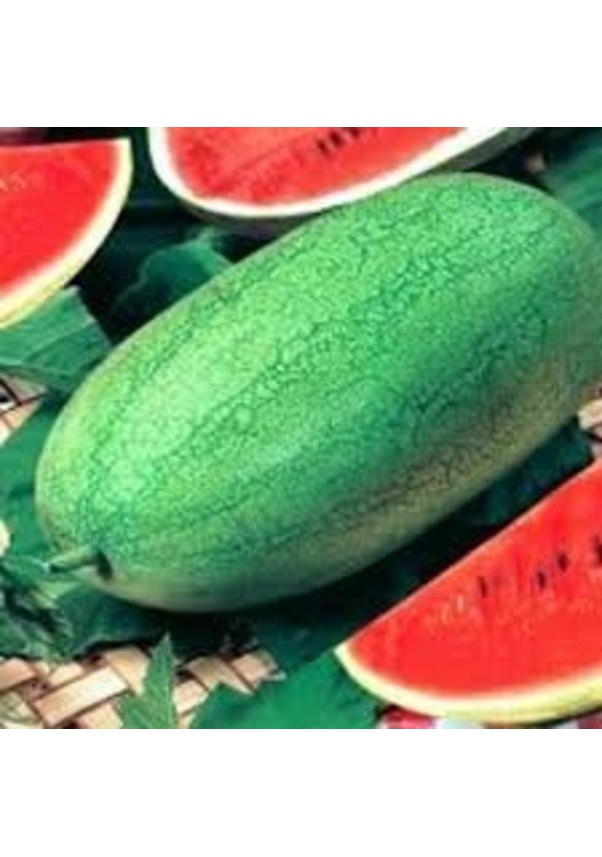 100 Adet Tohum Nadir Çarliston GRay Dev Karpuz Tohumu Tohu Fiyatları ve ...