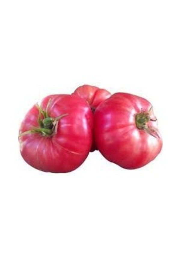 25 Adet Nadir İri Pembe Domates Tohumu + Sebze Tohumu Fiyatları ve ...